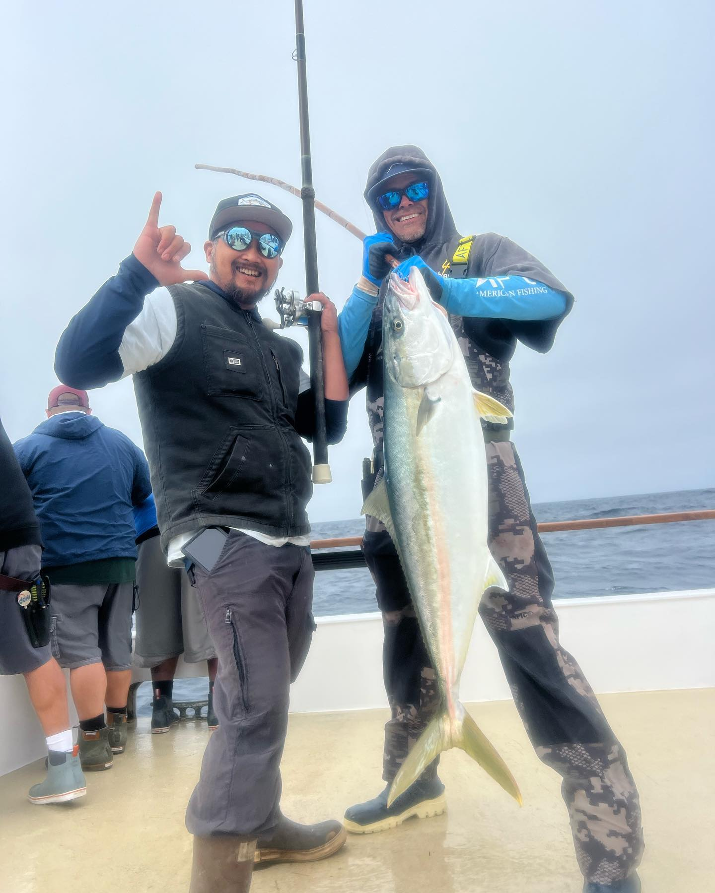 Night time bluefin / Daytime Yellowtail – ROYAL POLARIS