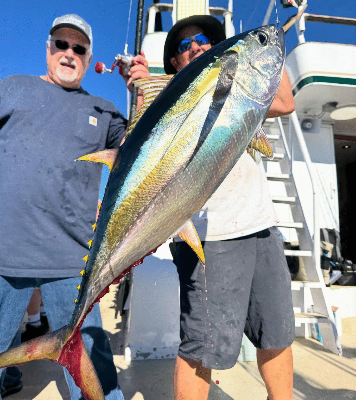 Travel Day Tuna – ROYAL POLARIS